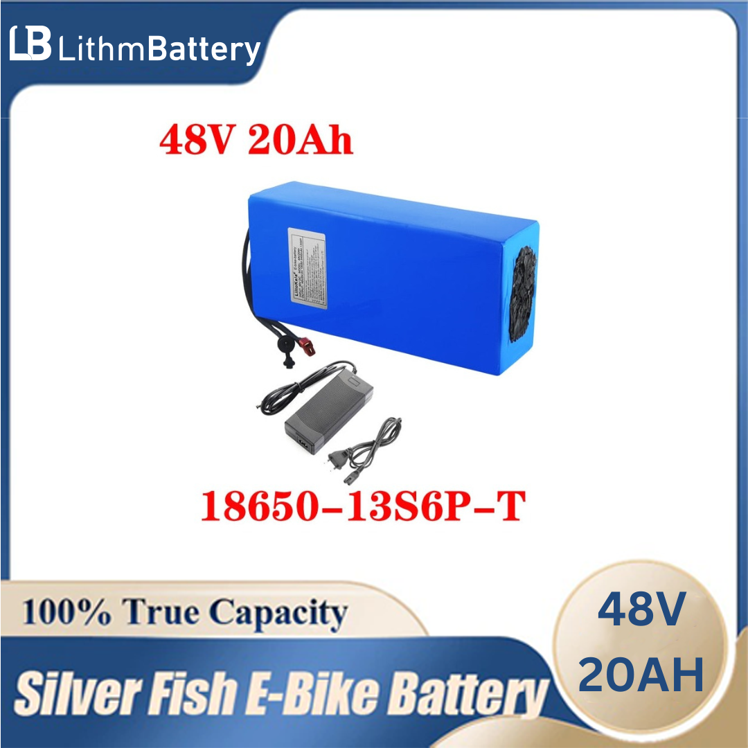 48V 20ah 13s6p 48V 20AH 1000W E_bicycle battery 20A BMS – lithmbattery
